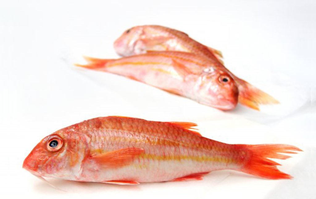 Product Range | Goldmarine Exports | Seafood Exports India